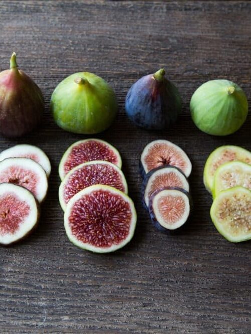Fig Trees for Sale | New varieties every week| Orchevo.com