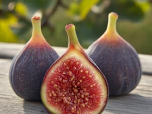 Fig Trees for Sale | New varieties every week| Orchevo.com